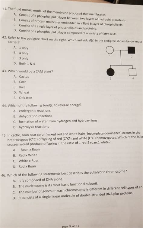 Solved Suppose That You Are Given A Polypeptide Sequence