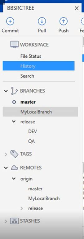 How To Use Bitbucket And Sourcetree Branches Explearn