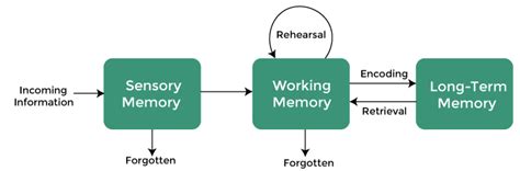 Human Memory Tpoint Tech