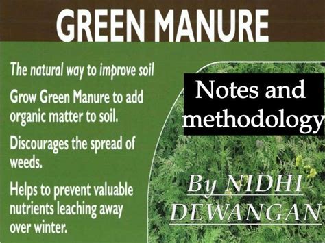 Nidhi Dewangan On Linkedin Green Manuring