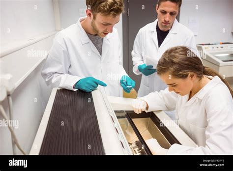 What Is A Science Incubator At Harry Cory Blog