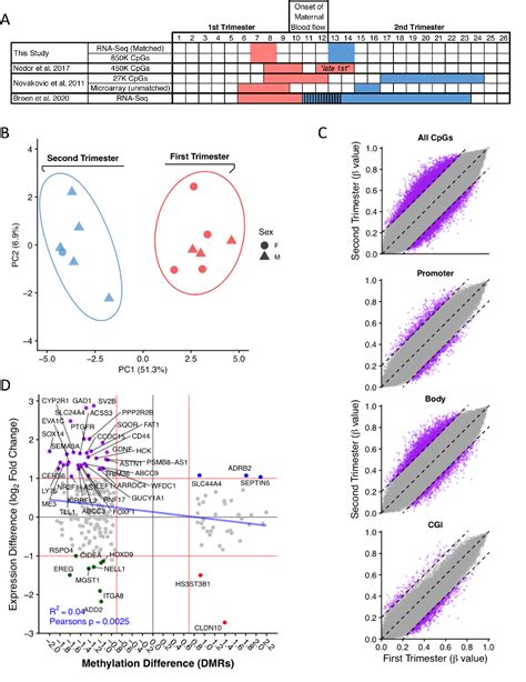 Figure From RNA Seq Reveals Changes In Human Placental Metabolism Transport And Endocrinology