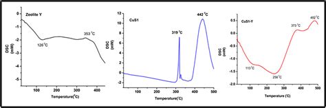 Dsc Curves Of Zeolite‐y Cus1 And Cus1‐y Download Scientific Diagram