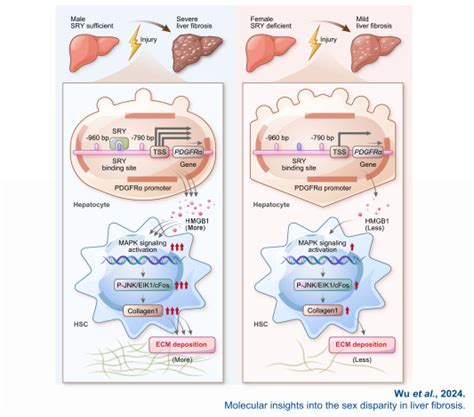 From The Editors Desk Journal Of Hepatology