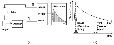 Sensors Free Full Text Recent Advances In Fluorescence Lifetime