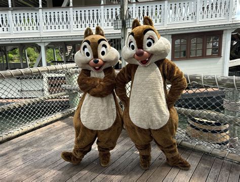 Photos New Chip ‘n Dale Meet And Greet Location At Magic Kingdom