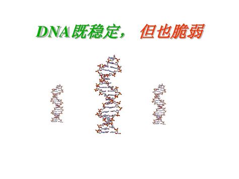 Dna损伤与修复word文档在线阅读与下载无忧文档