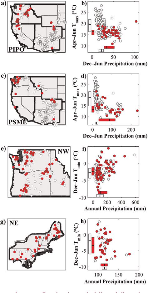 International Tree Ring Data Bank Semantic Scholar