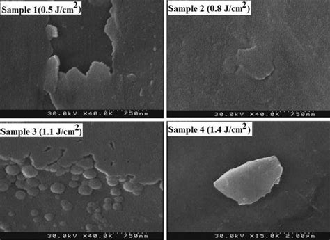 FE SEM Micrographs Of The Samples Download Scientific Diagram