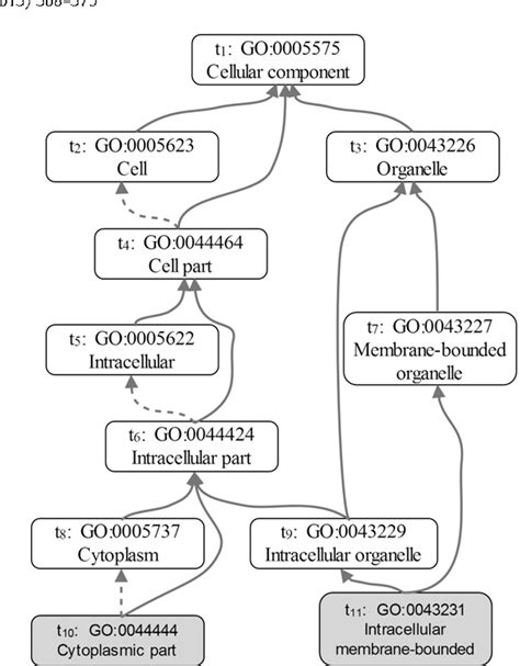 Figure 1 From A Novel Insight Into Gene Ontology Semantic Similarity Semantic Scholar