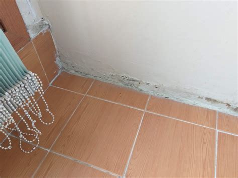 성북구 빗물 누수로 베란다 바닥 석회 현상 장마철 오기 전에 대비하자 네이버 블로그