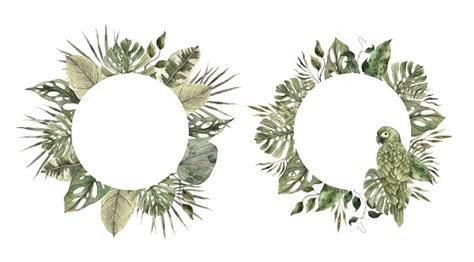 앵무새 몬스테라 칼라테아 콜로카시아 야자수 필로덴드론 흑백 스타일의 수채화 열 대 라운드 프레임 세트입니다 꽃과 식물 트렌드 초대장 카드 포장 휴일 프레임 그리기에 대한