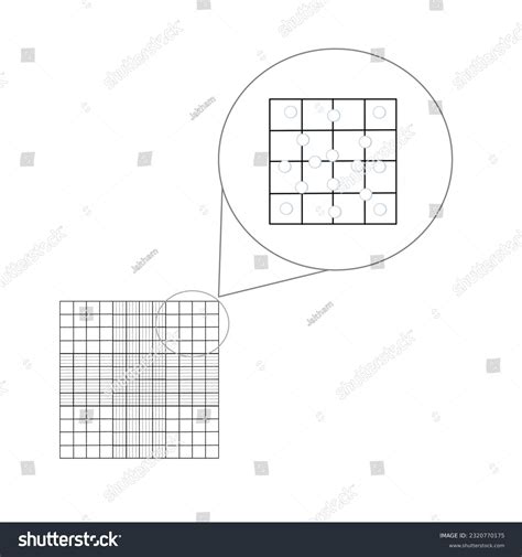 Hemocytometer Grid Photos And Images Shutterstock