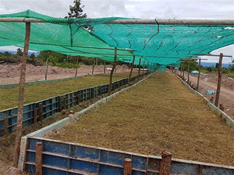 រដ្ឋមន្រ្តីក្រសួងបរិស្ថានប្រកាសផ្តល់កូនឈើ៣០ម៉ឺនដើមក្នុងមួយឆ្នាំ