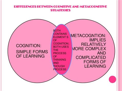 The Metacognitive Process