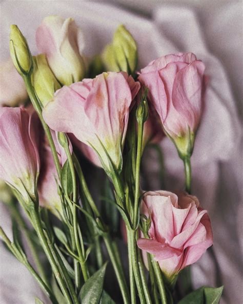 Taeoluv • Instagram Photos And Videos