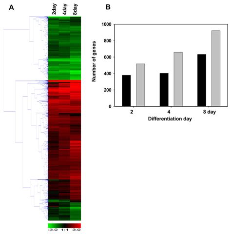 A Hierarchical Clustering Of 1878 Genes These Genes Were Clustered
