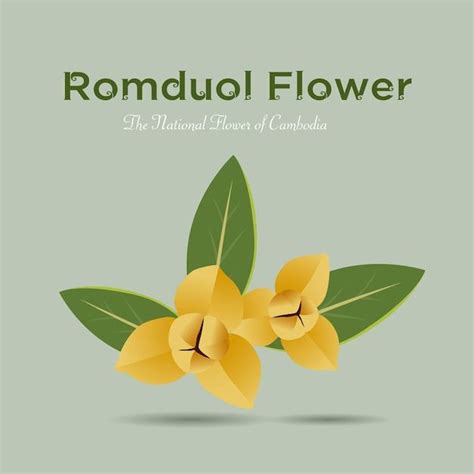Premium Vector Metralla Mesnyi Romduol Flower The National Flower Of