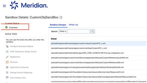 Fusion Erp Custom Business Object Event Ingestion Via Oic Fusion Erp
