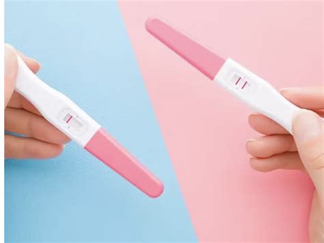 Kit Detection Object Detection Dataset And Pre Trained Model By Kitdetection