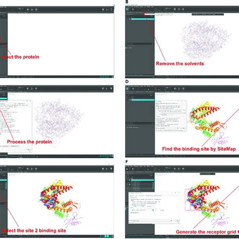 Pre Processing Procedures Of Molecular Docking Analysis A Snapshot Of