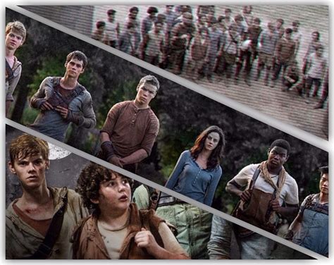The Maze Runner Zart