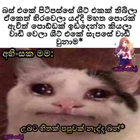 This Is The Business😏👍 R Tkasylum