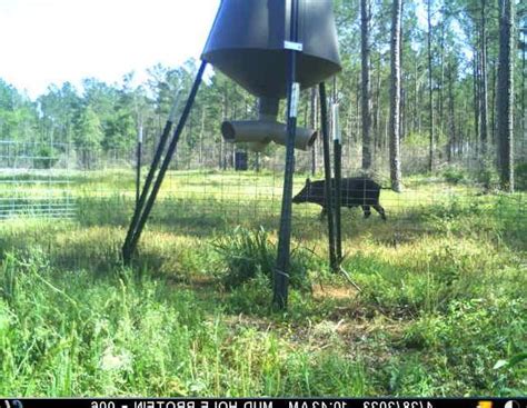 Example Object Detection Dataset And Pre Trained Model By Cascadia