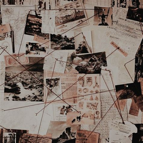 My Future Job Detective Aesthetic Arte Grunge Criminology Girl