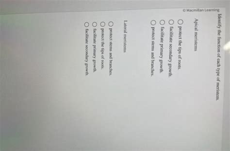 Solved Identify The Function Of Each Type Of Meristem
