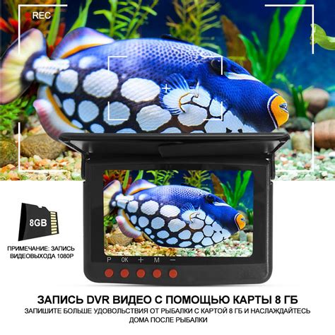 Камера Подводная для Зимней Рыбалки купить на OZON по низкой цене