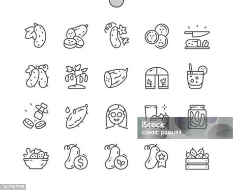 오이 횡단면을 씨앗으로 슬라이스합니다 요리 조리법 및 가격 카페 메뉴 픽셀 완벽한 벡터 얇은 선 아이콘 간단한 최소 픽토그램