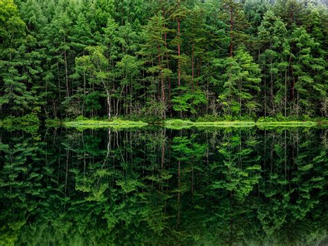 The Ultimate Guide To Double Materiality Assessment Rsm Belgium