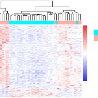 Hierarchical Cluster Analysis Download Scientific Diagram