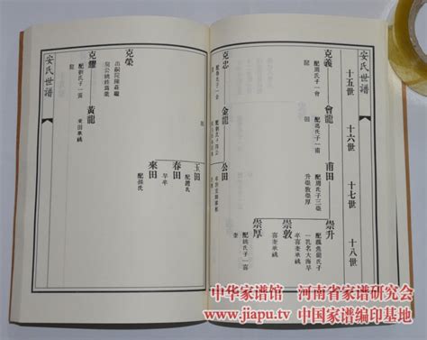 姓氏家谱 家谱录 安世代 全球华人溯源祭祖服务平台