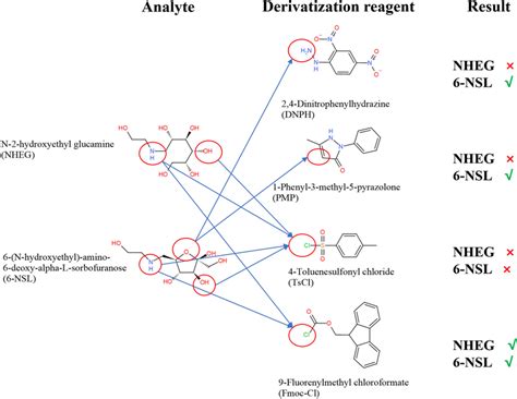 The Schematic Diagram Of Pre Column Derivatization Methods Download Scientific Diagram