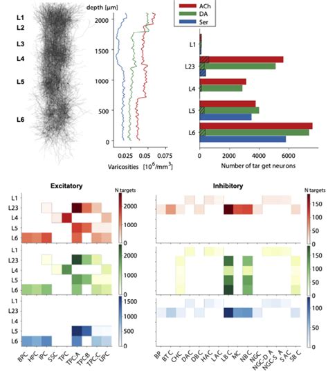 In Silico Predictions Of Chat 5 Ht And Th All Data Is Representative Download Scientific