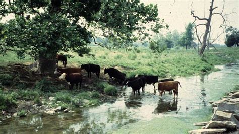 Ndotja E Tokës Shkaqet Pasojat Dhe Zgjidhjet Efektive