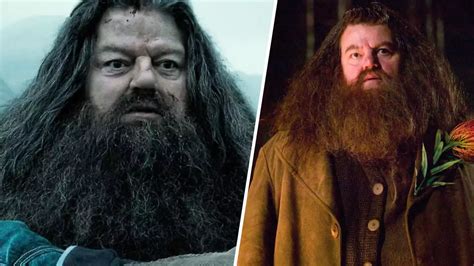 Harry Potter Fans Torn Over Hagrids Fate After Deathly Hallows