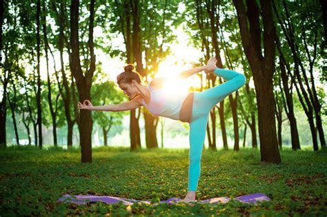 젊은 스포츠 소녀는 녹색 여름 숲 요가 아산 자세에서 요가를 연습합니다 자연과의 명상과 단합 가냘픈에 대한 스톡 사진 및 기타 이미지 Istock