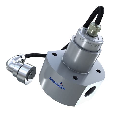 Port Fuel Injection Pfi Components For Gas Engines Products And Services