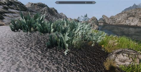 Grass Lod Loaded All The Time Dyndolod And Xlodgen Support Step Mods