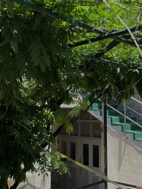 뉴진스 디토 뮤비 촬영지이자 유형문화재로 지정된 대구의 계성중학교 인스티즈 Instiz 이슈 카테고리