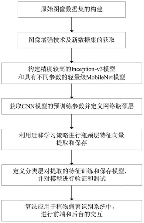基于CNN模型和迁移学习的植物病害识别方法及系统与流程
