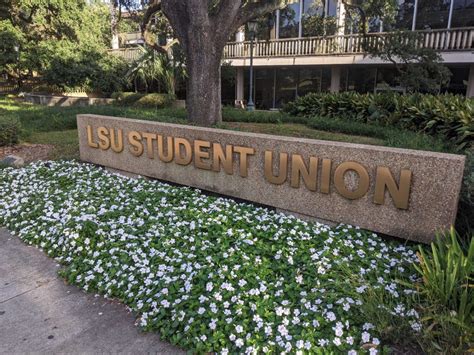 Lsu System Submits Missing Sexual Harassment Reports Louisiana Illuminator