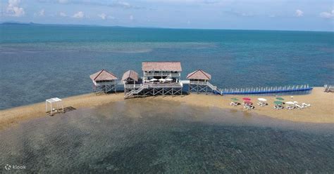 unforgettable floating coral bar day trip sip swim and savor klook