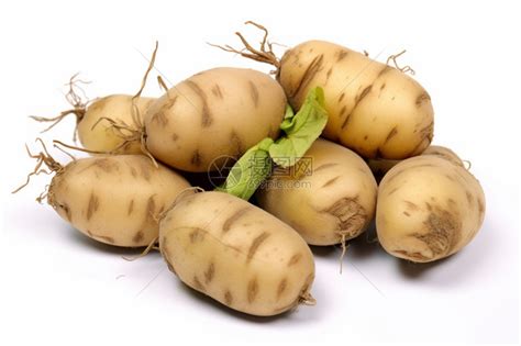 健康马铃薯块茎高清图片下载 正版图片600283446 摄图网