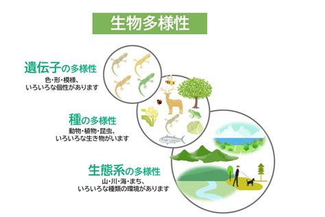 生物多様性・生態系保全 環境トモシル Co Creation For Sustainability