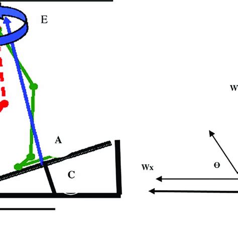 A The Pathway Of The Grf Vector During Single Limb Support On An
