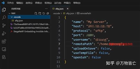 Vscode Remote Ssh连服务器及sftp上传下载文件 知乎 Vscode Remote Ssh连服务器及sftp上传下载文件 知乎